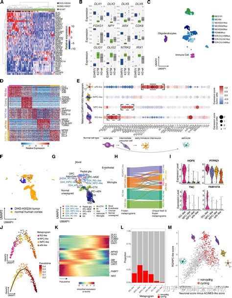 读取第三方的单细胞rds文件进行单细胞分析教程 知乎