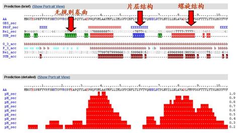 蛋白质二级结构预测方法
