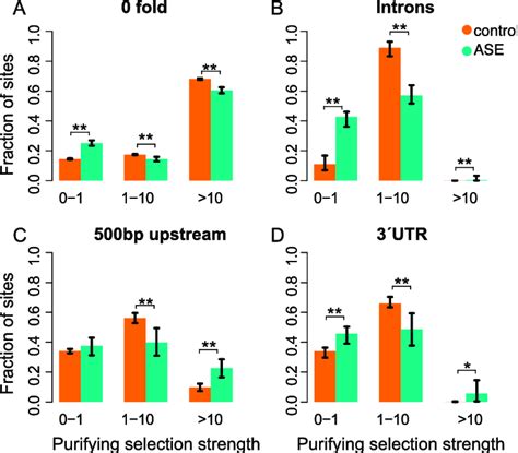 The Impact Of Purifying Selection Differs Between Genes With And