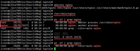 阿里云服务器实践 与 Nginx 部署 Arry老师的博客 艾编程