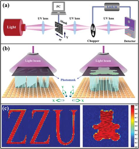 A Schematic Diagram Of The Imaging System Using The Heterojunction