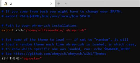 Setting Up WSL Windows Terminal And Oh My Zsh NillsF Blog