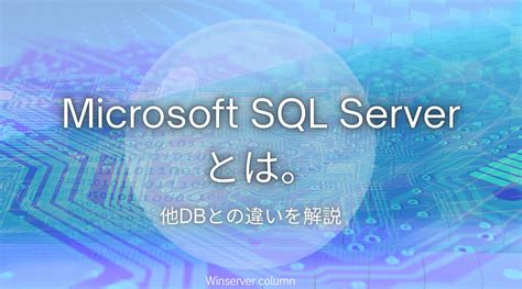 Microsoft Sql Serverとは。他dbとの違いを解説 Winserverのススメ