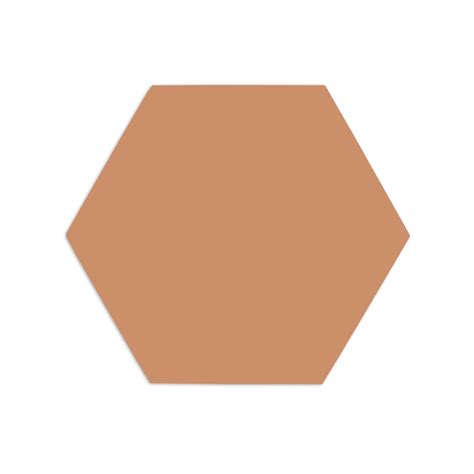 Hexagon Tequila 6 L Hexagon Tile L Clay Tile L Low Maintenance Tile Clay Imports
