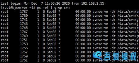 删除进程 linux linux批量删除进程 csdn博客