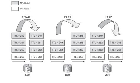 network notes forwarding labeled packet in mpls