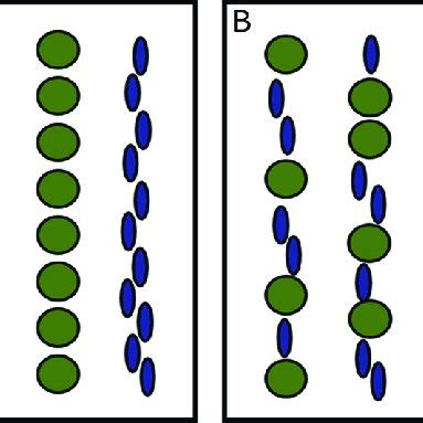 Schematic Illustrations Of The Two Spatial Configurations Used In The Download Scientific