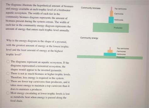 Solved Classify each statement as describing primary | Chegg.com