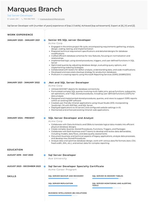 Sql Server Developer Resume Examples And Templates