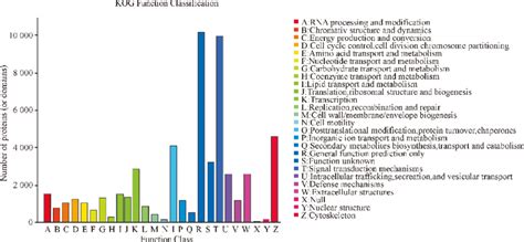 Clusters Of Eukaryotic Kog Functional Classification Of The Unigenes