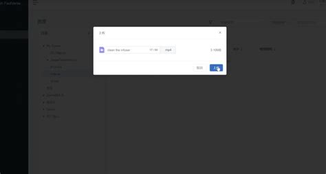 Datamesh Director Datamesh