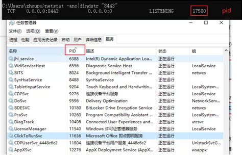 打印提示：错误信息：服务端口 8000 已被其他程序占用，请更换端口再试？如何处理 舟谱帮助中心