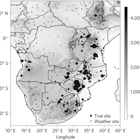 pdf nonlinear heat effects on african maize as evidenced by