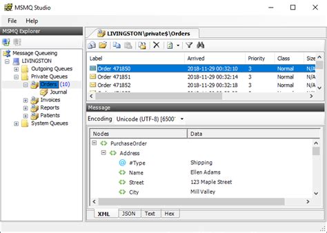 Msmq Message Viewer Stack Overflow