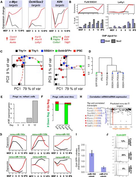 Figure 4 From A Molecular Roadmap Of Reprogramming Somatic Cells Into