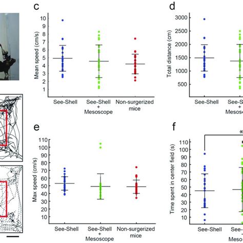 Mesoscope A Miniaturized Head Mounted Device For Whole Cortex