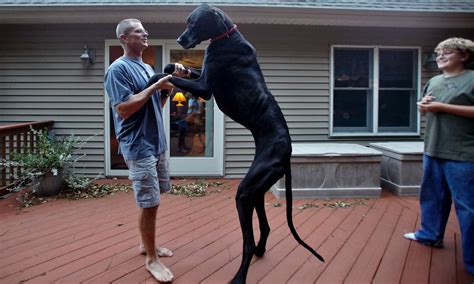 Esp32cam Person Detection General Guidance Arduino Forum