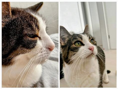 Yo Lady After Drinking And Flossing Gag