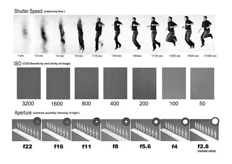 Free Printable Comprehensive Shutter Speed Chart For Perfect Photography