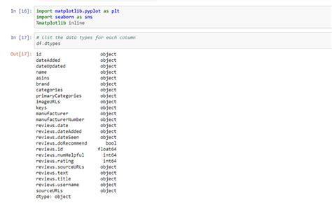 Showing Data Types For Each Column Of The Data Frame Download Scientific Diagram