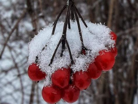 Наприкінці січня 2022 року 5 знаків Зодіаку очікує низка щасливих подій Особлива