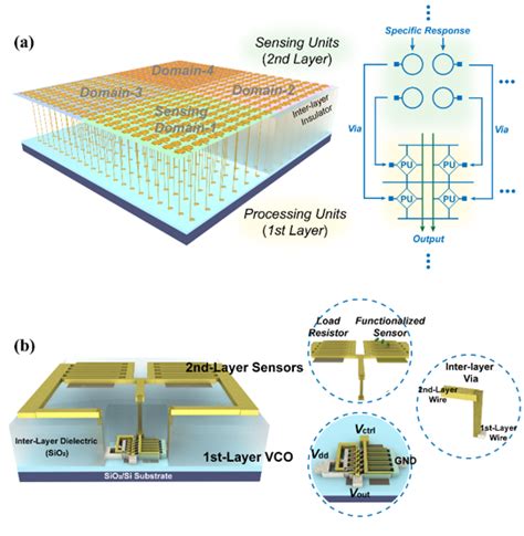 Prof Zhang Zhiyongs Group Achieves Important Progress On Carbon