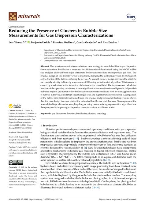 Pdf Reducing The Presence Of Clusters In Bubble Size Measurements For Gas Dispersion