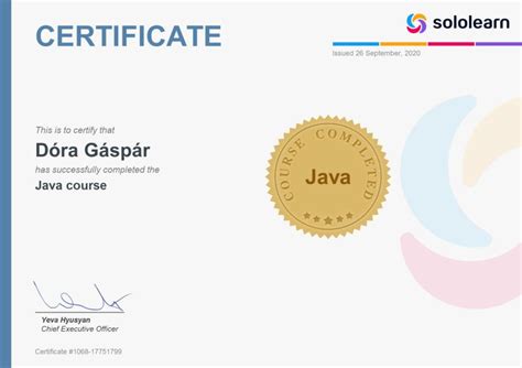 Dóra G On Linkedin Java Programming Language Sololearn