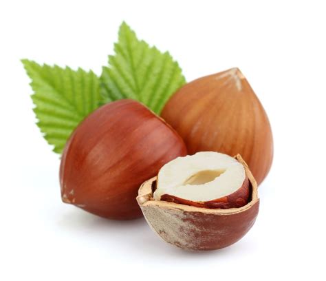 Hazelnut Flavor Concentrate Frocup