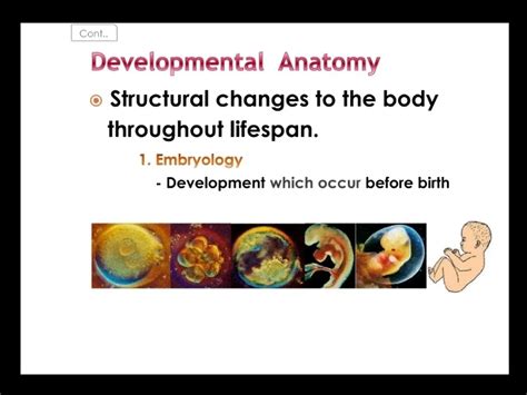 Antomy And Physiology Ppt All Systemspptx Antomy And Physiology Ppt All Systemspptx