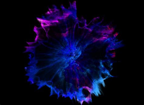 Room Temperature Ionic Liquids Show Piezoelectric Effects The