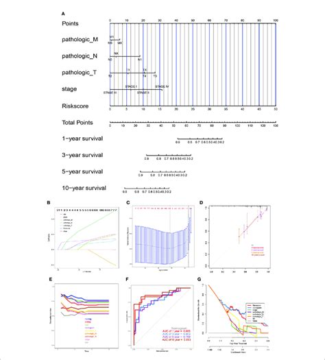 The Nomogram Model A Prognostic Nomogram For Patients With