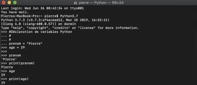 Les Variables Python Pierre Giraud