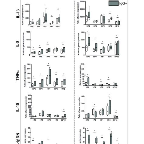 The Immune Response Of Pams At The Transcriptional Level Pams Were