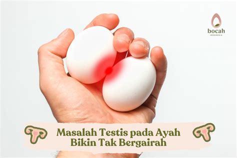 Masalah Testis Pada Ayah Bikin Tak Bergairah
