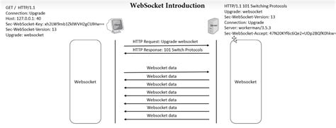 esp32网络入门 websocket协议 esp32 guide