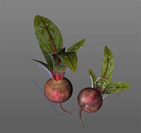 Beetroot 3d Model Flippednormals