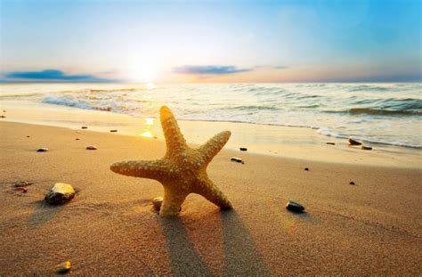 Beach Sand Wallpaper 64 Images