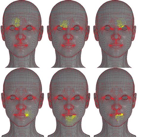 Optimizing Ui Layouts For Deformable Face Rig Manipulation