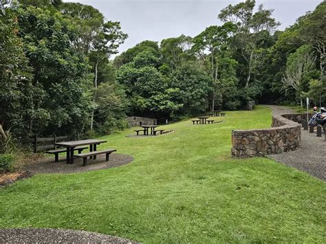 Binna Burra Lodge Review A Budget Adventure