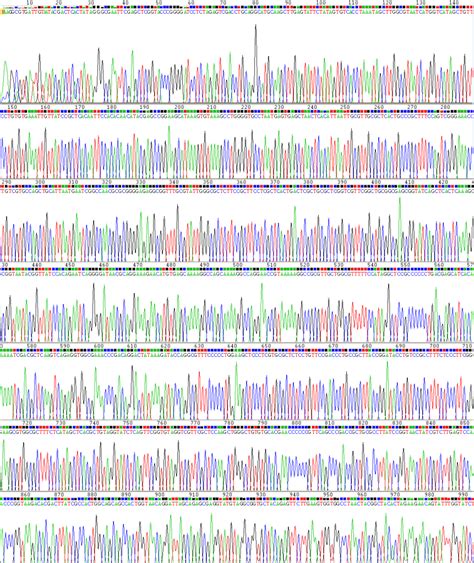 Troubleshooting Guide And Suggestions Solution For Genomic Targeted Troubleshooting Guide And Suggestions Solution For Genomic Targeted