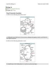 IAG 24 1 Docx OpenStax Biology 2e Instructor Answer Guide Biology 2e Unit 5 Biological