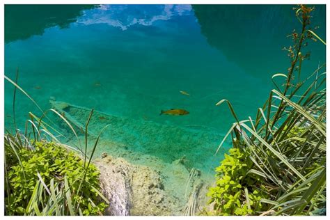 Top Interview Questions And Answers For Embedded Systems HelloIntern In Blog