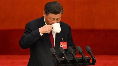 Xi Jinping Le Agrega Riesgo A Un Mundo Caótico Perfil