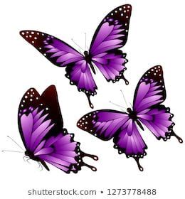 26 Duizend Filigree Butterfly Rechtenvrije Illustraties Stockfotos En