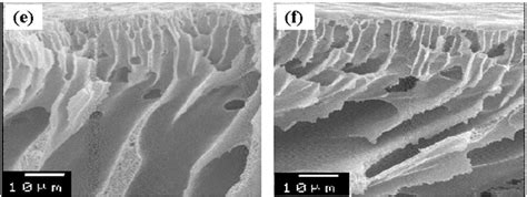 Cross Sectional Sem Morphology Of Pvc Pc1 A Pvc Pc1 Plu3 B