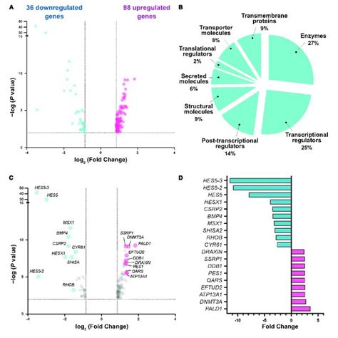 Transcriptome Analysis Reveals Differentially Expressed Genes