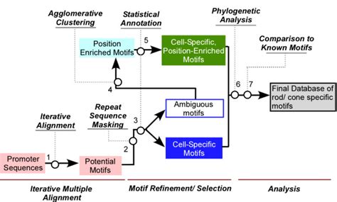 A Block Diagram Of The Iterative Alignmentmodular Motif Selection