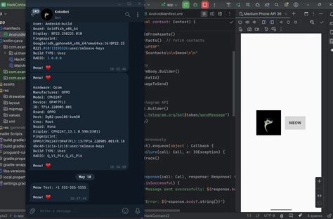 Malware Development Trick 45 Hiding And Extracting Payload In Pngs With Cats Simple C