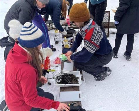 Bærekraft Ungdom Lur Inger I Fjæra De Endte Opp Med å Severe